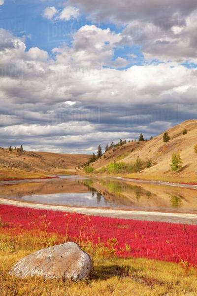 Canada, British Columbia, Kamloops, Lac Du Bois Grasslands Park ...