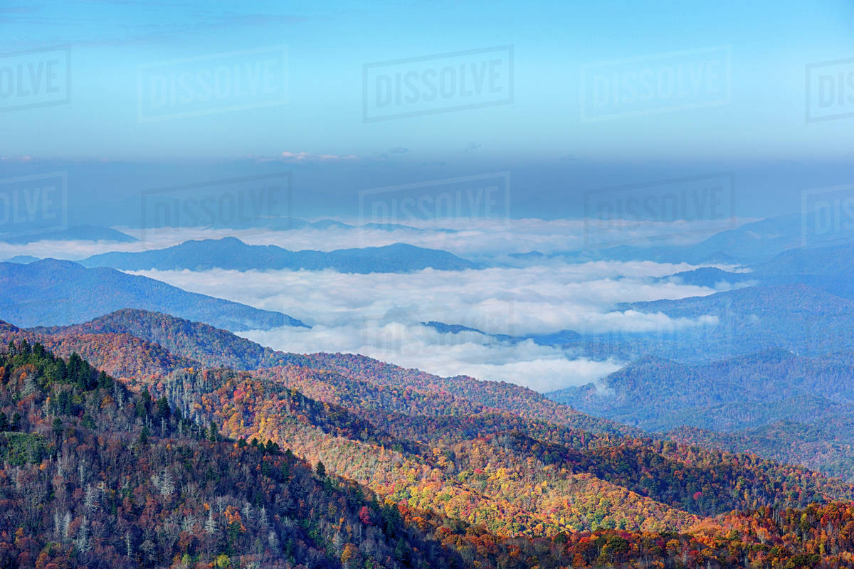 North Carolina, Blue Ridge Parkway, Highest point on Parkway 6047 feet ...