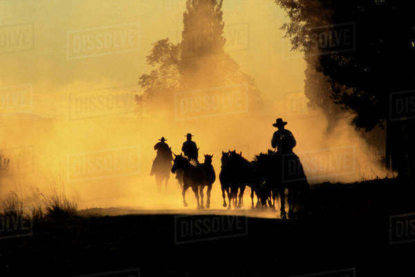 USA, Oregon, Burns. Cowboys driving wild horses down dirt road ...