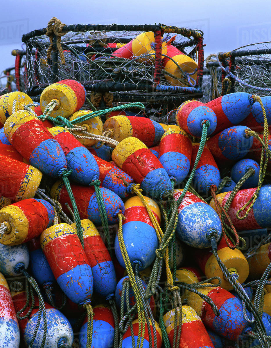 USA, Oregon, Newport. Crab rings and floats on dock. - Royalty-free ...