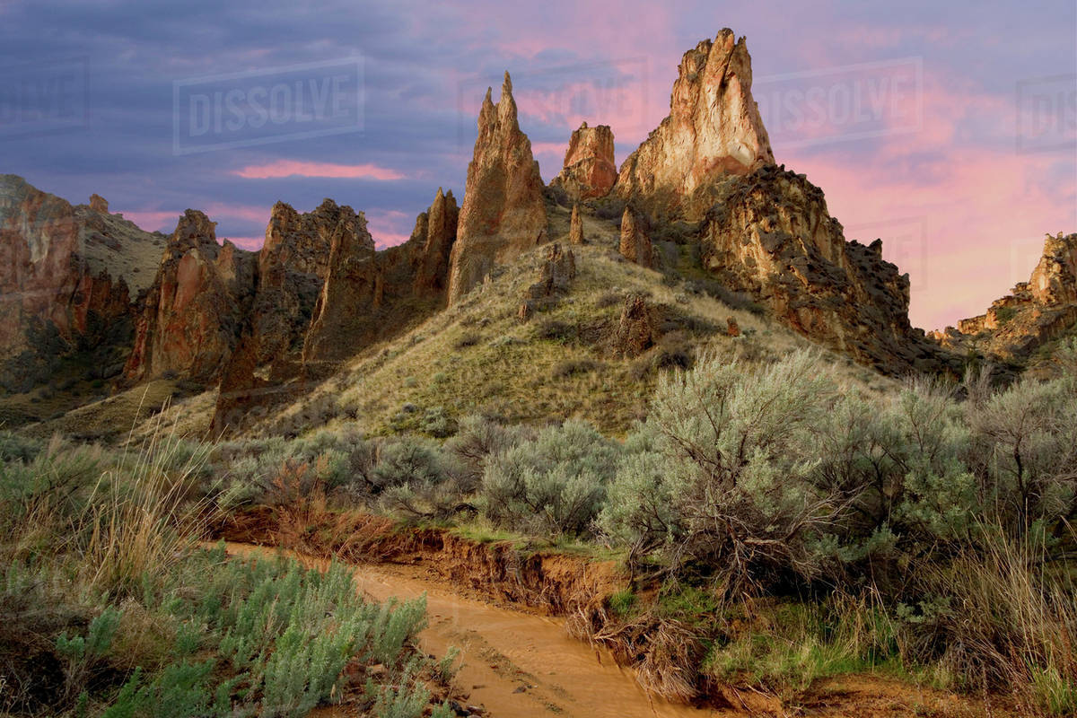 USA, Oregon. View of Leslie Gulch. - Royalty-free Stock Photo | Dissolve