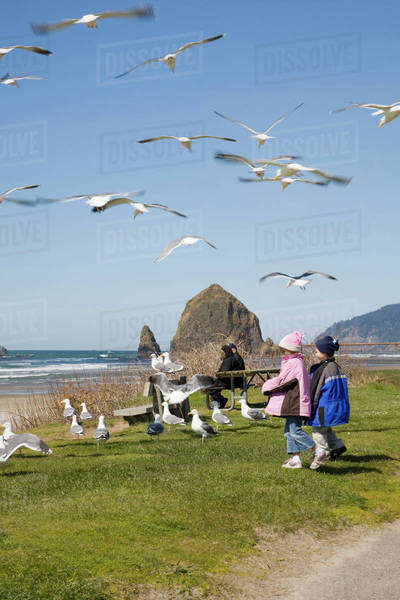 Oregon, Oregon Coast, Cannon Beach, feeding the sea gulls, Haystack ...