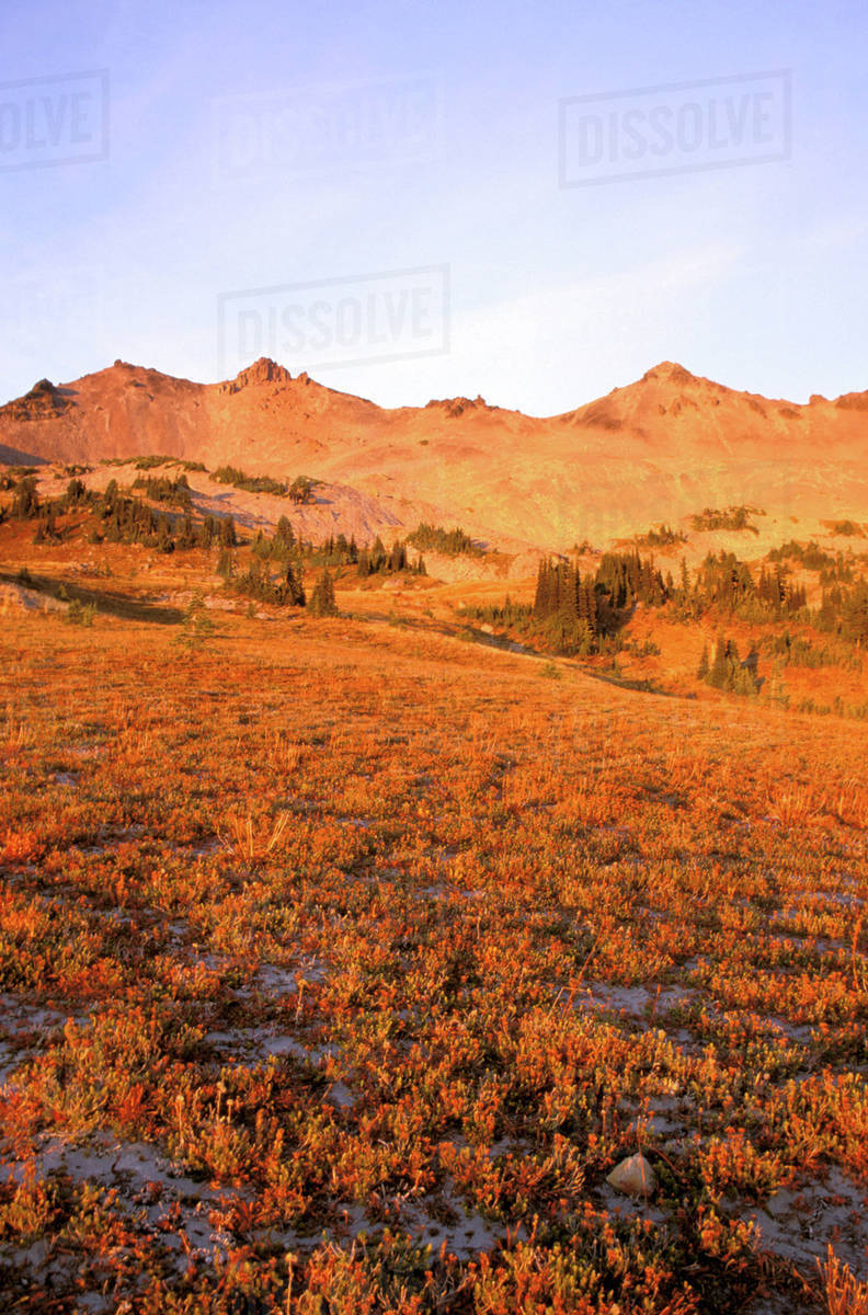 North America, USA, Washington State, Goat Rocks Wilderness. The Goat ...