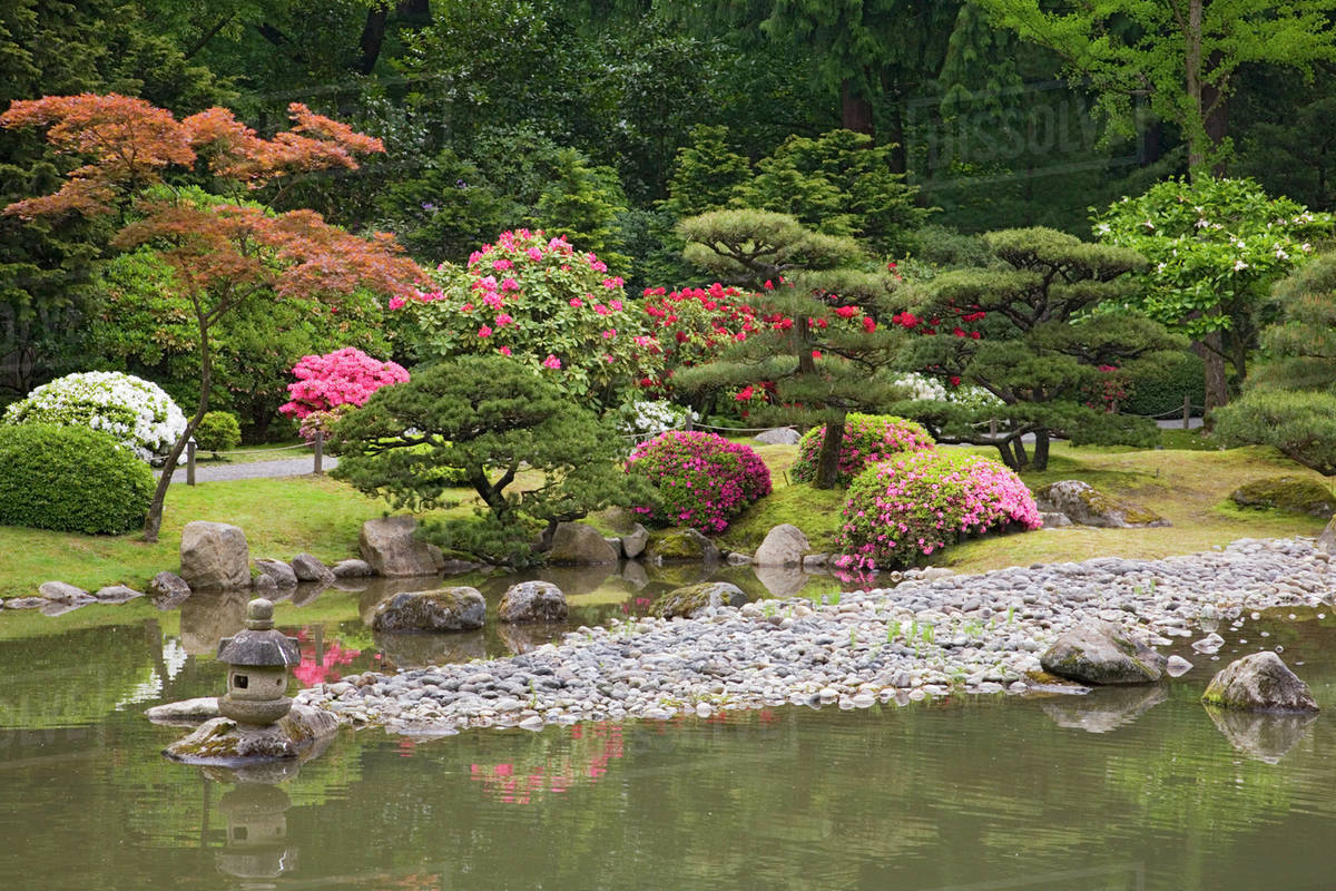 WA, Seattle, Washington Park Arboretum, flowers in bloom at the ...