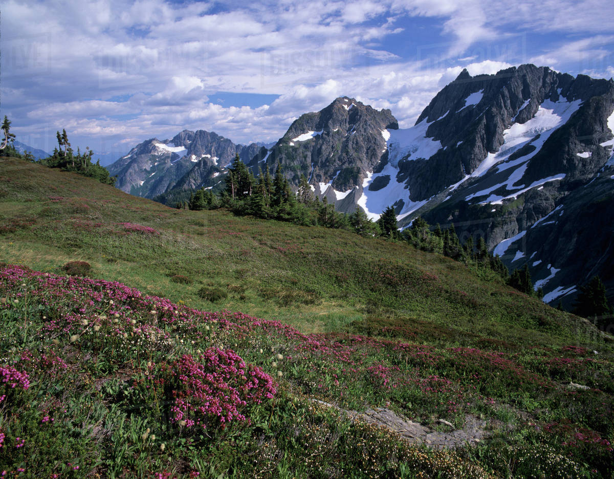 WA, North Cascades National Park, view from Sahale Arm above Cascade ...