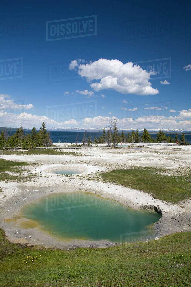 WY, Yellowstone National Park, West Thumb Geyser Basin, on the shore of ...