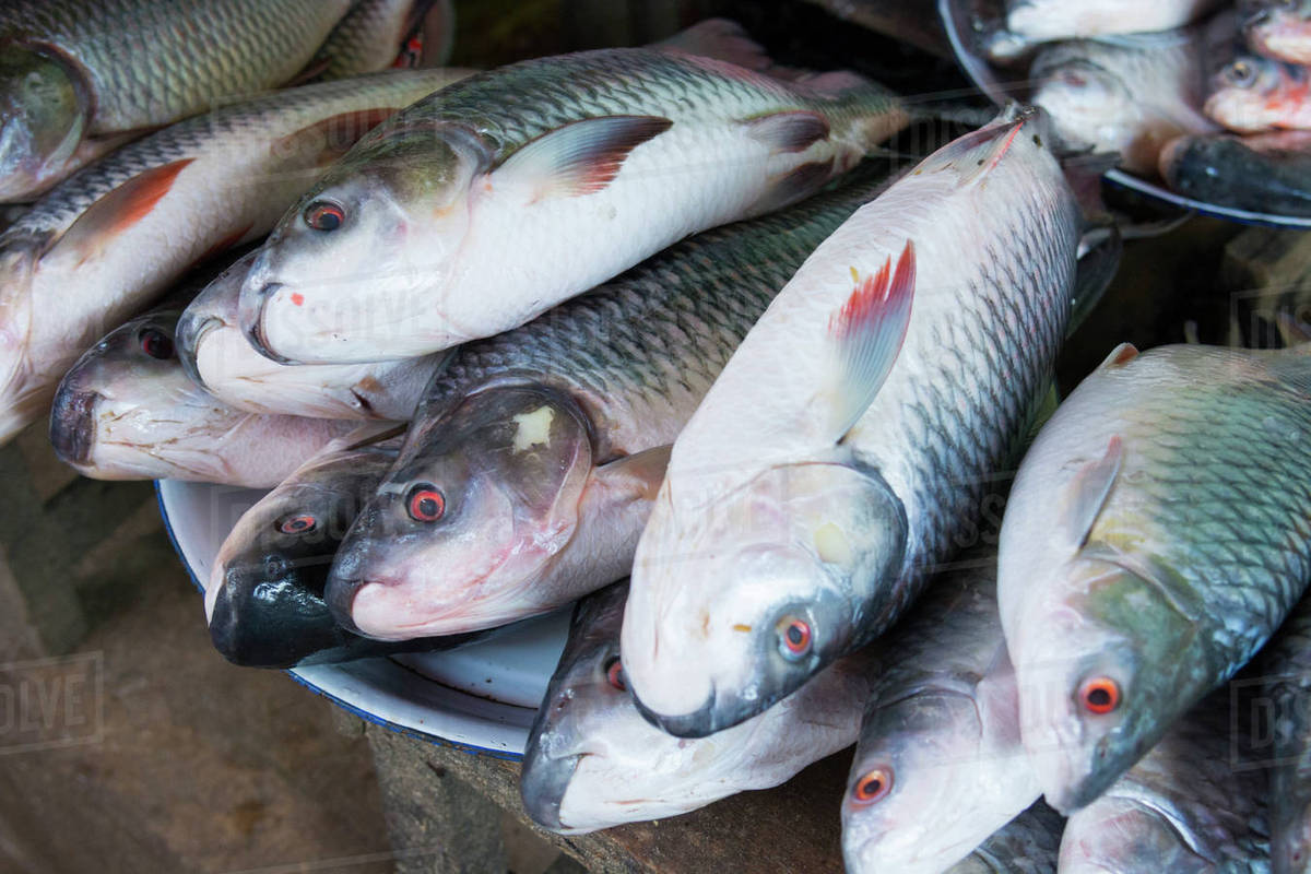 Myanmar. Bagan. Nyaung U. Fish for sale in the market. - Stock Photo ...