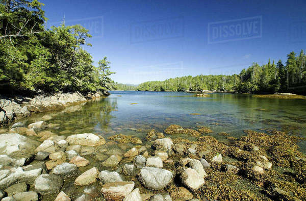 Afternoon at Skull Cove, Bramham Island, British Columbia, Canada ...