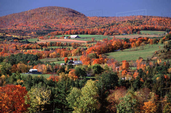 Farmland near Pomfret, Vermont - Stock Photo - Dissolve