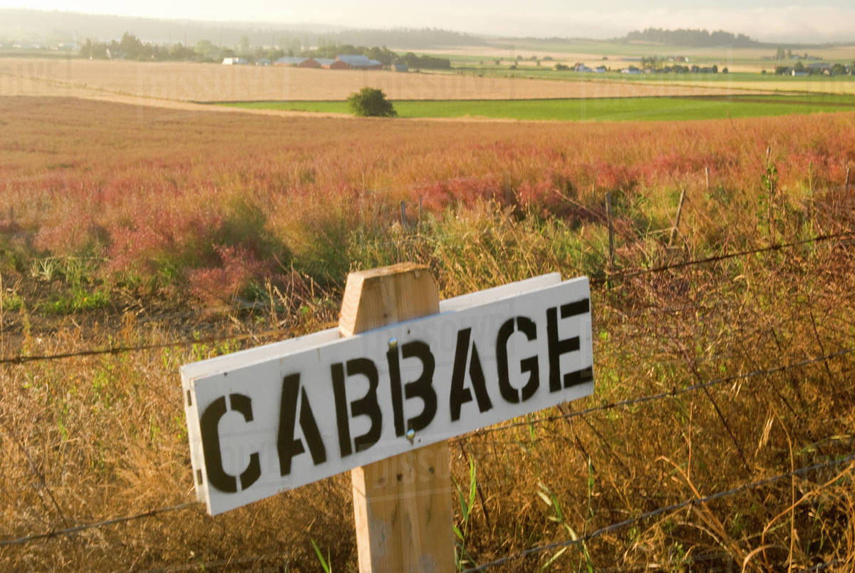 USA, WA, Island County, Whidbey Island. Helpful signage in farm fields ...