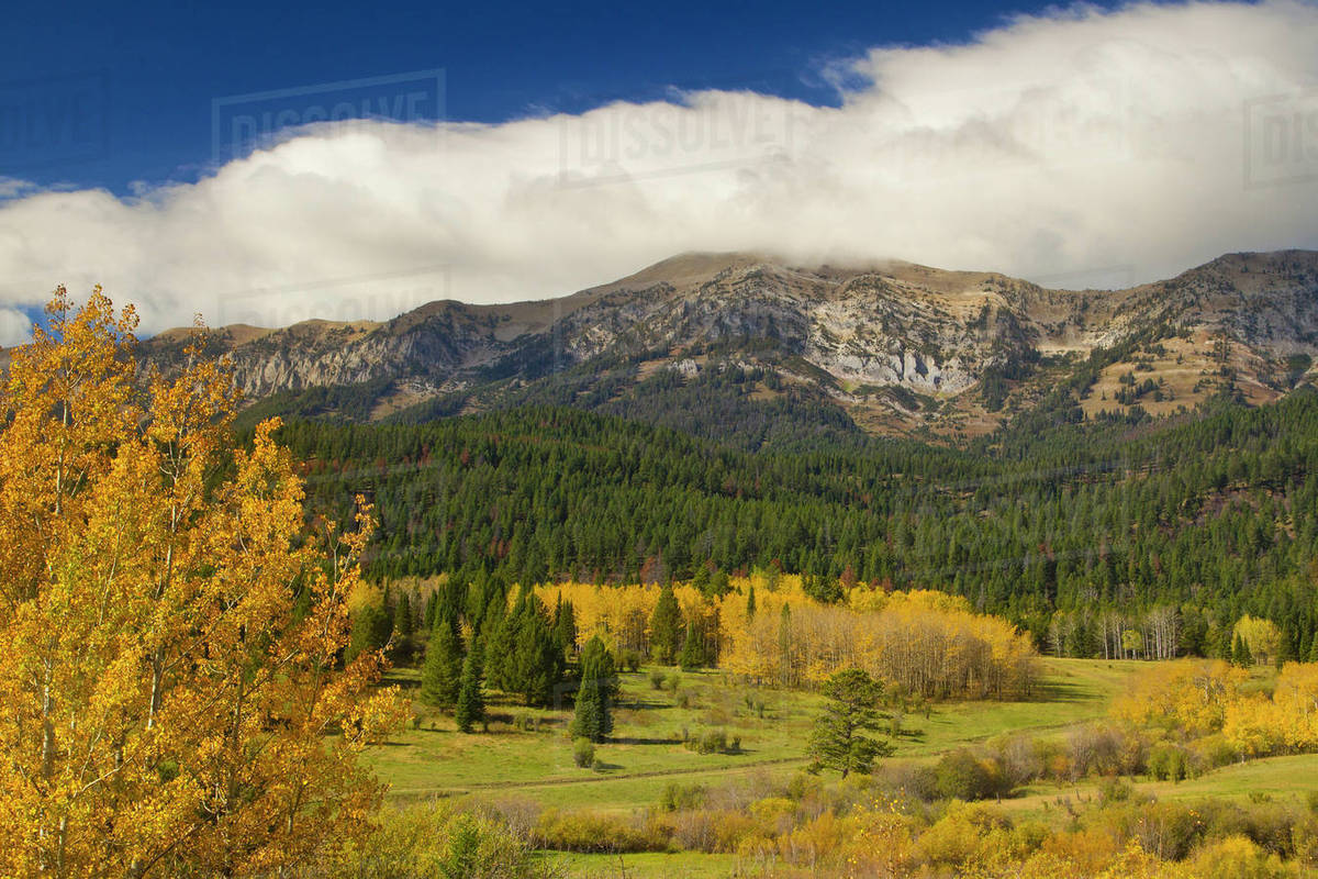 Autumn color accent the Bridger Mountain Range near Bozeman, Montana ...