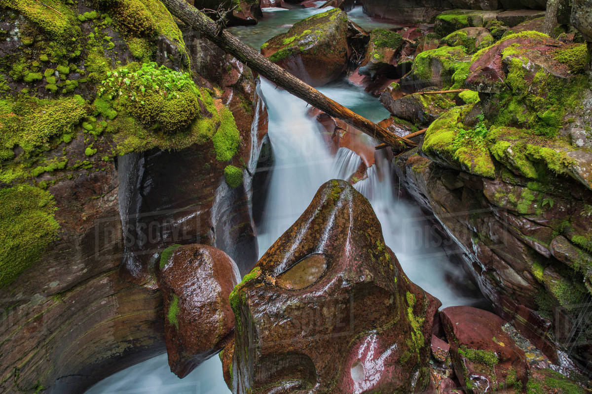 Avalanche Creek Gorge in Glacier National Park, Montana, USA - Stock ...