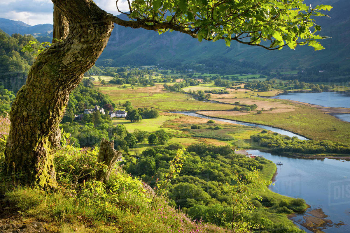 Overlooking Borrowdale Valley, Derwentwater, Lake District, Cumbria ...