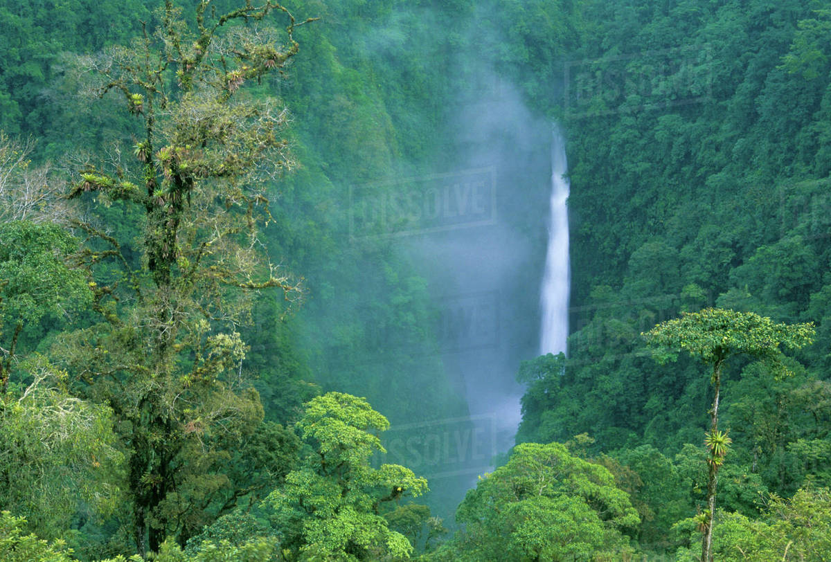 Cordillera Central, Angel (Congo) Falls, many waterfalls on Caribbean ...