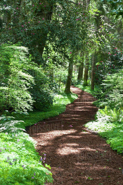 USA, WA, Bainbridge Island. Bloedel Reserve has hiking trails ...