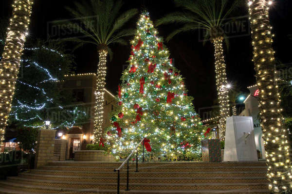 USA, Arizona, Buckeye. Christmas tree in the village square at night ...