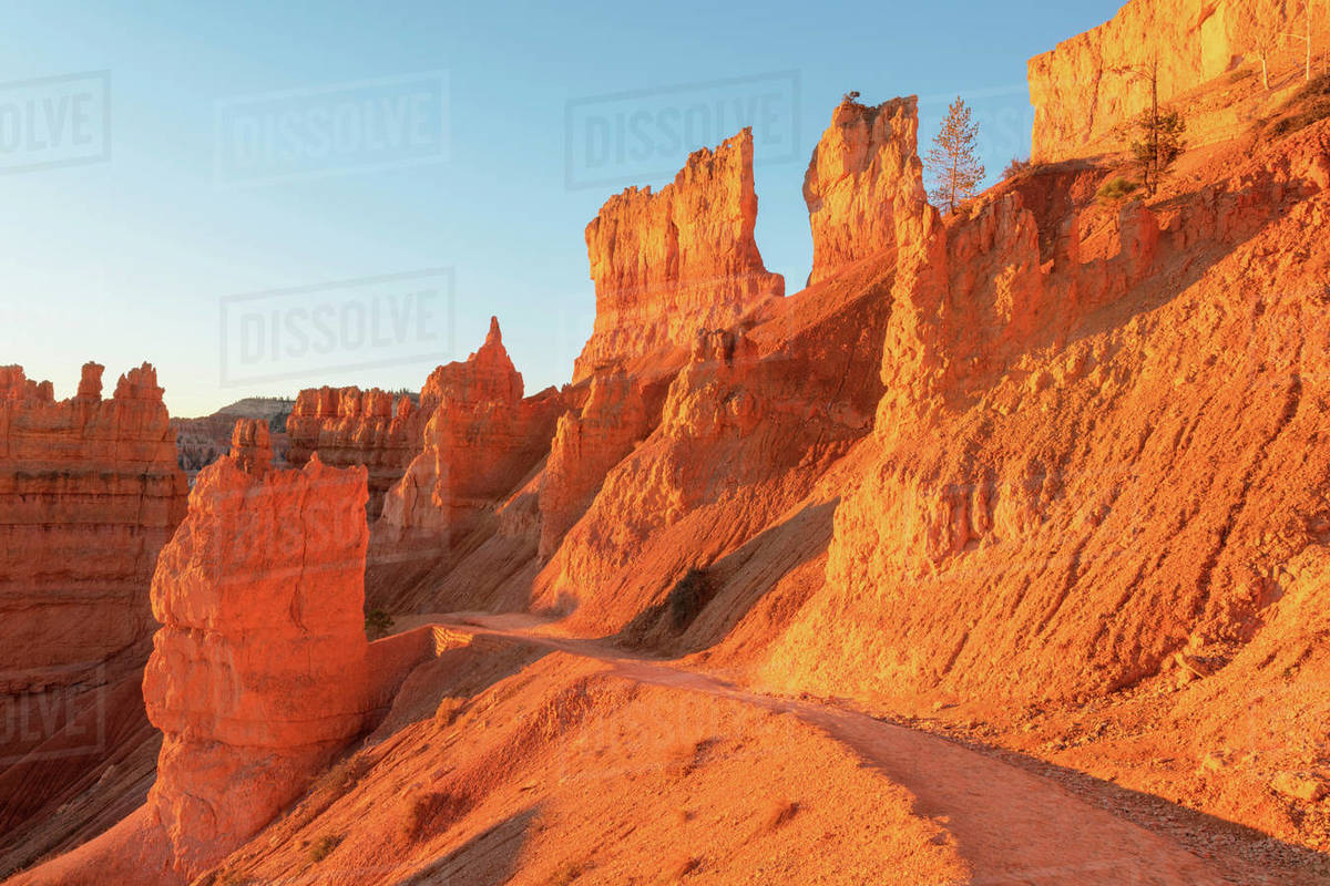 Navajo Loop trail at sunrise. Sunrise Point, Bryce Canyon National Park ...