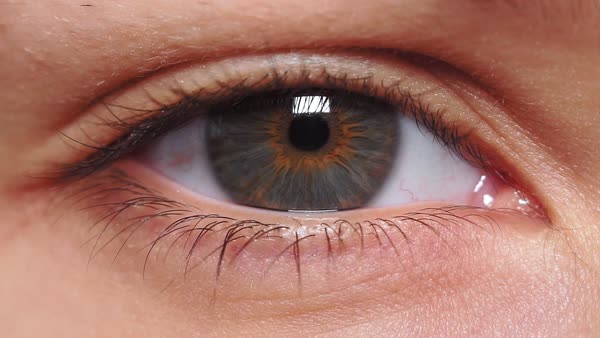 Macro Close-up eye blinking. Young Woman is opening and closing her ...