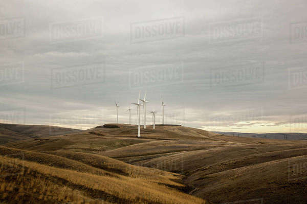 Wind farm on rolling landscape, Condon, Oregon, USA - Stock Photo ...