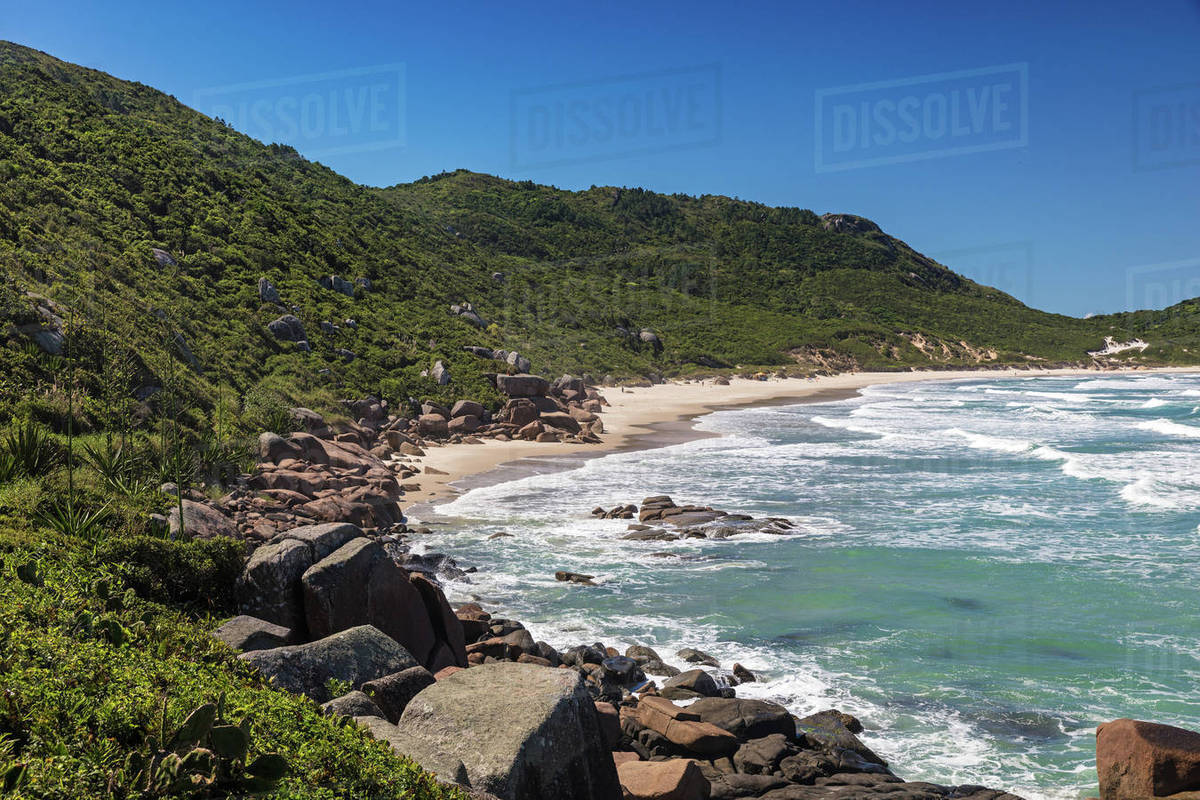 Mole beach, Praia da Galheta, Florianopolis, Santa Catarina, Brazil ...