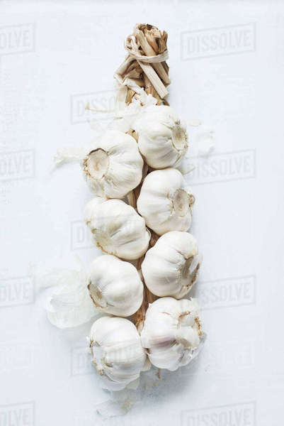 String of garlic - Royalty-free Stock Photo | Dissolve