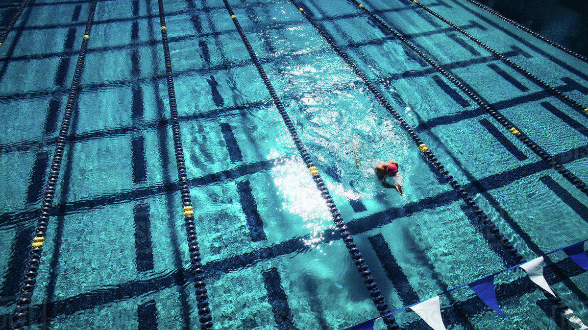 Overhead view of swimmers in pool - Stock Photo - Dissolve
