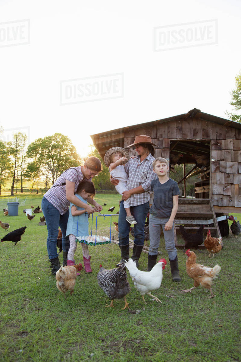 Family on farm, surrounded by chickens, mother and daughter holding ...