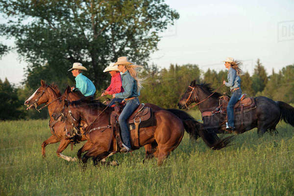 Group of people riding horses in field - Royalty-free Stock Photo ...