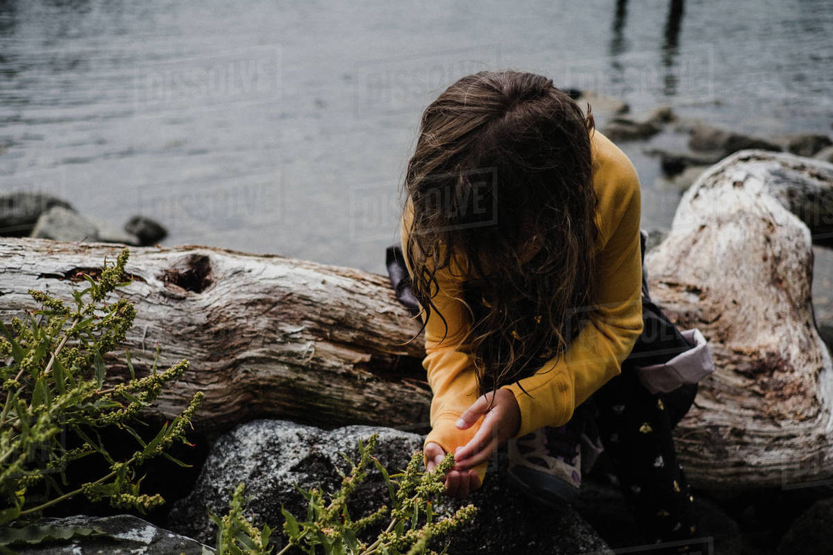 Girl discovering nature by sea, Tofino, Canada - Stock Photo - Dissolve