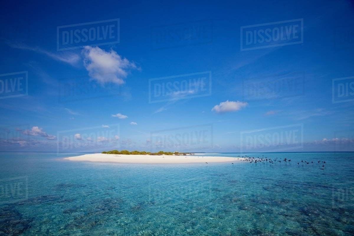Sandbar in tropical water - Royalty-free Stock Photo | Dissolve