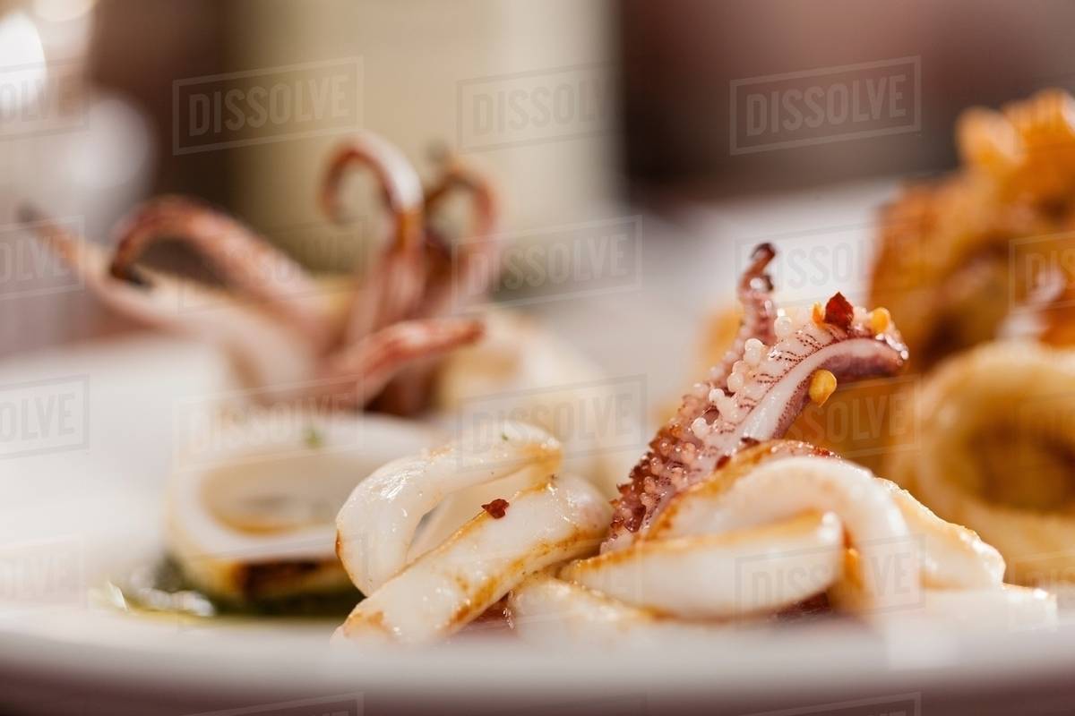 Squid dish - Royalty-free Stock Photo | Dissolve