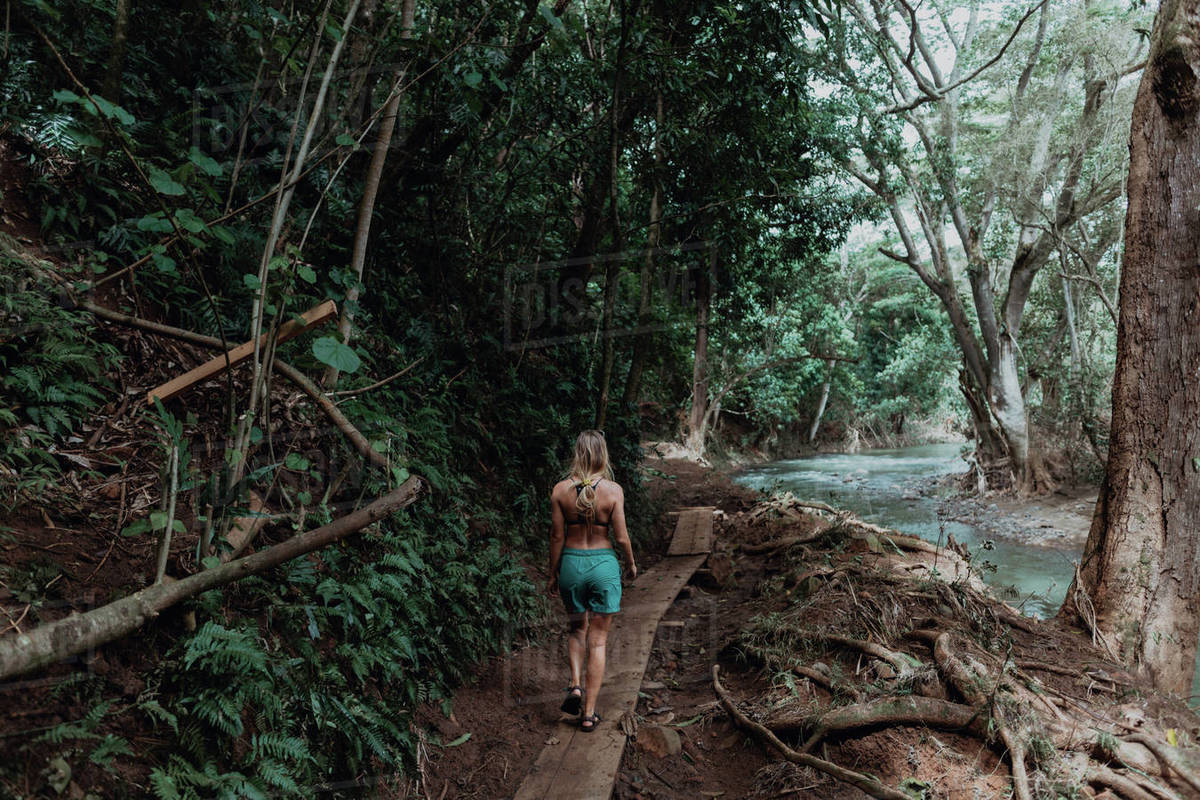 Woman enjoying walk in rainforest, Princeville, Hawaii, US - Royalty ...