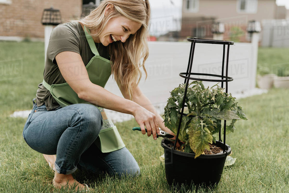 Woman tending to potted plant in garden - Royalty-free Stock Photo ...