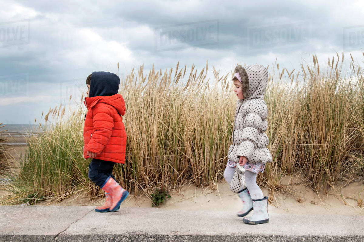 Siblings exploring beach - Royalty-free Stock Photo | Dissolve