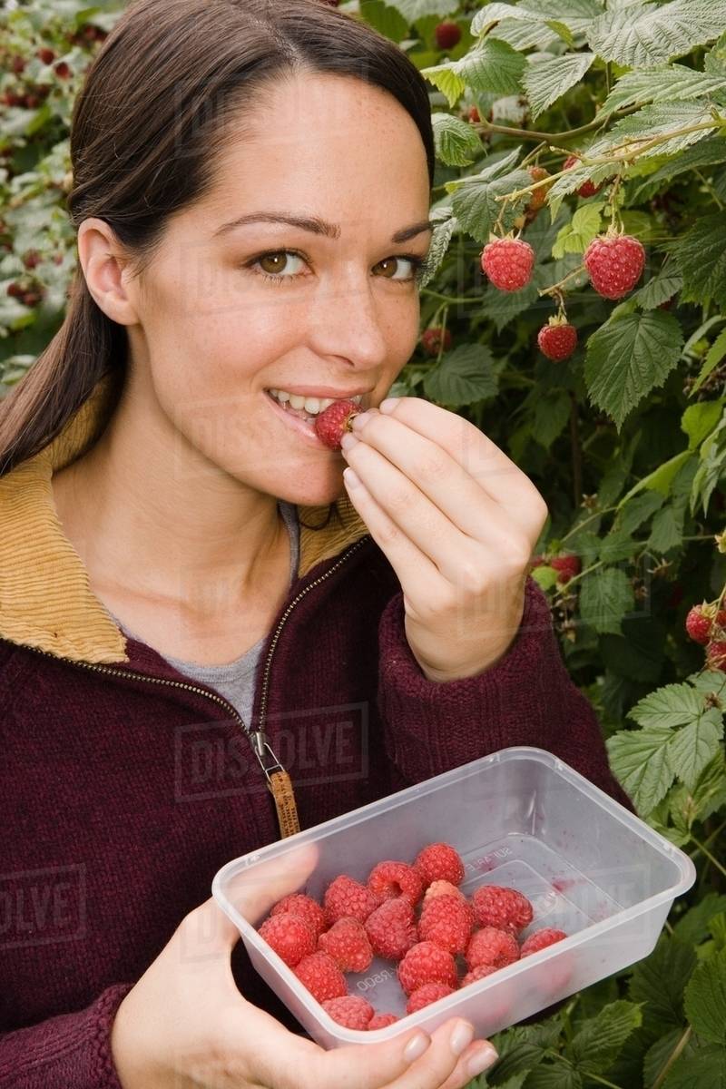 Woman eating fresh raspberries - Stock Photo - Dissolve