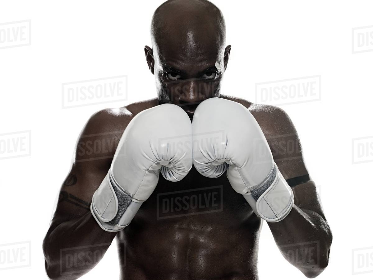 Portrait of a boxer - Royalty-free Stock Photo | Dissolve