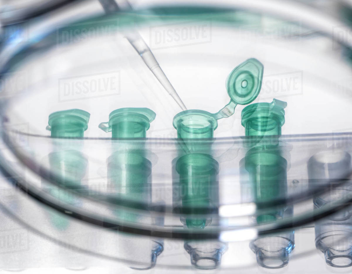 Close-up of petri dish test tubes and pipette in laboratory - Royalty ...