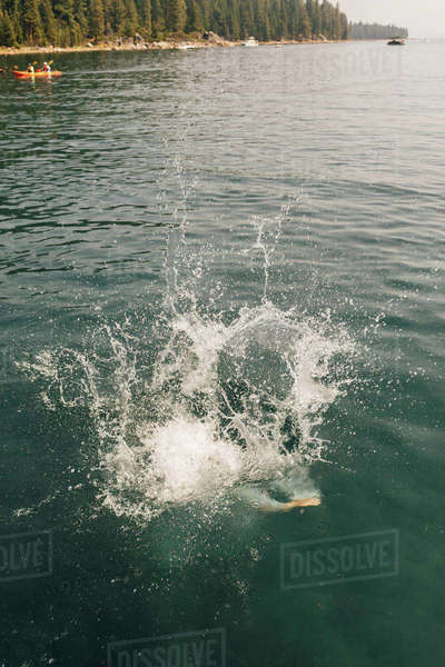 Splash on lake surface - Royalty-free Stock Photo | Dissolve