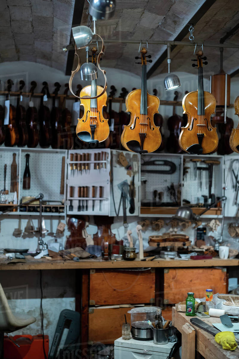 Violin display in workshop - Royalty-free Stock Photo | Dissolve
