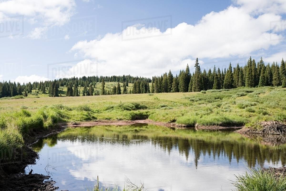 Pond at shrine pass colorado - Stock Photo - Dissolve