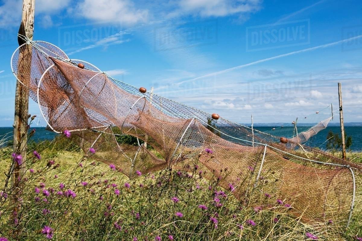 Fishing nets - Stock Photo - Dissolve