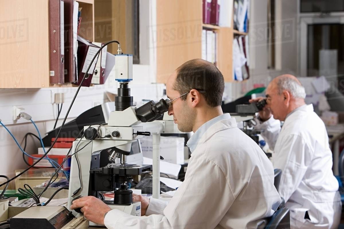 Lab technicians using microscopes - Royalty-free Stock Photo | Dissolve