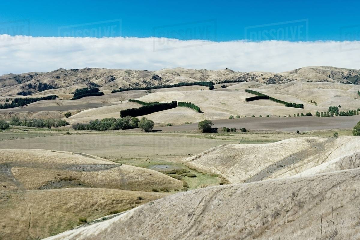 South Marlborough, landscape near Seddon - Stock Photo - Dissolve