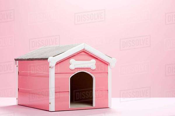 Pink dog kennel - Stock Photo - Dissolve