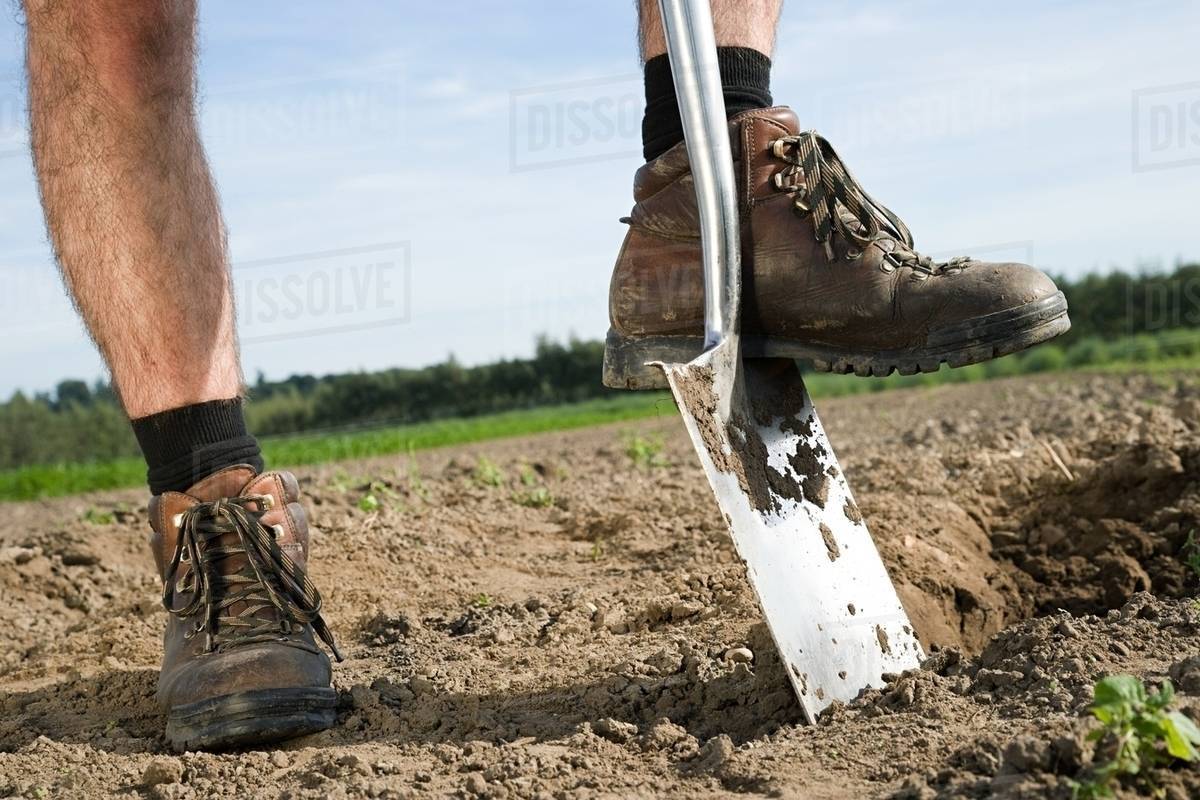 Farmer digging in field - Stock Photo - Dissolve