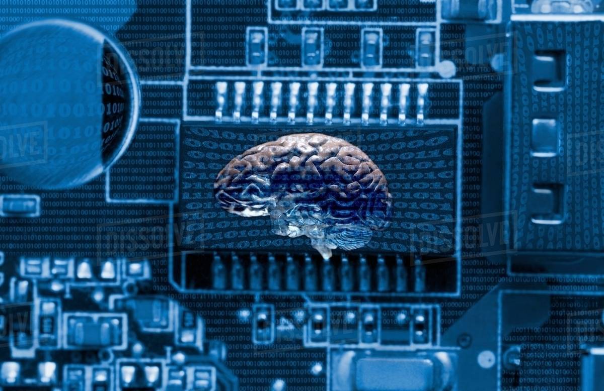Studio shot of brain and data technology - Stock Photo - Dissolve