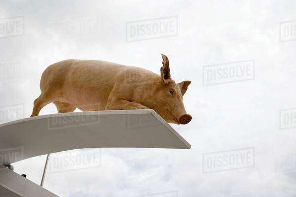 Pig on a diving board public art in prague - Stock Photo - Dissolve