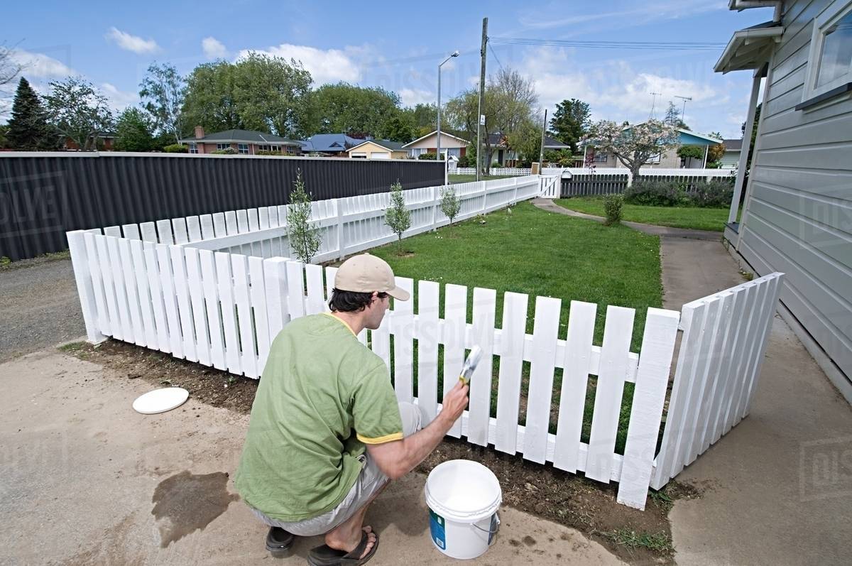 Man painting fence - Royalty-free Stock Photo | Dissolve