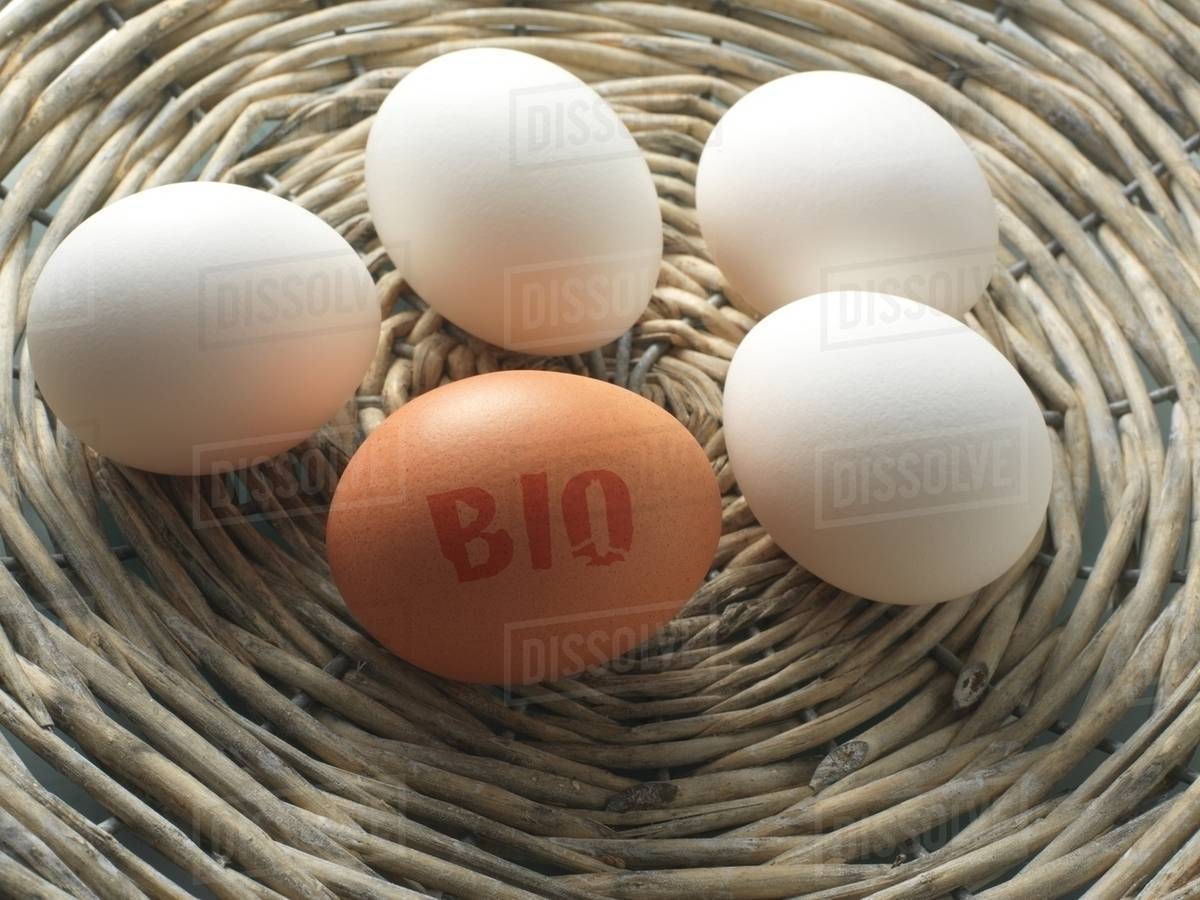Bio egg - Royalty-free Stock Photo | Dissolve