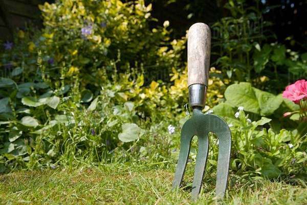 Gardening fork - Royalty-free Stock Photo | Dissolve